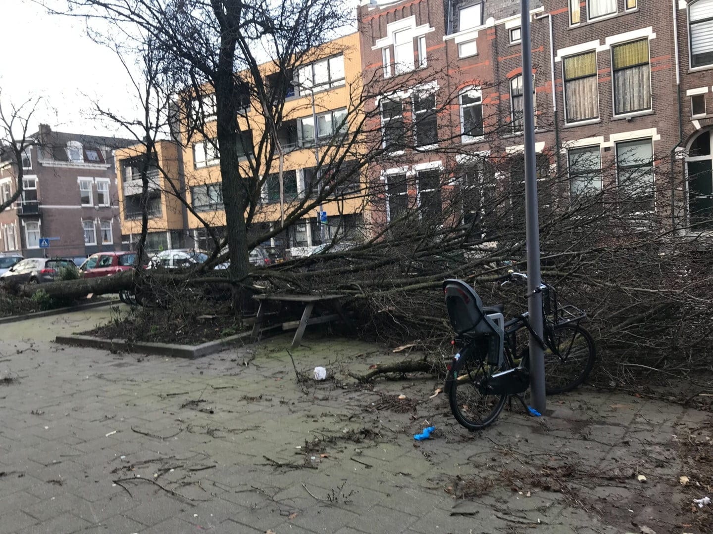 Stormschade aan daken: Snel als 1e oplossingen voor lekkages